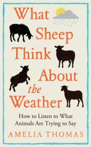 Typewronger · What Sheep Think About the Weather : How to listen to ...